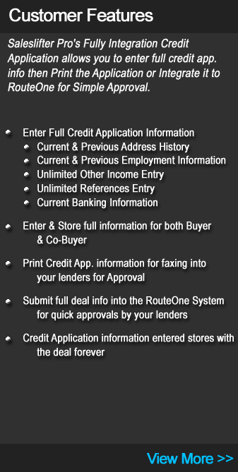 Saleslifter Pro Customer Area Features